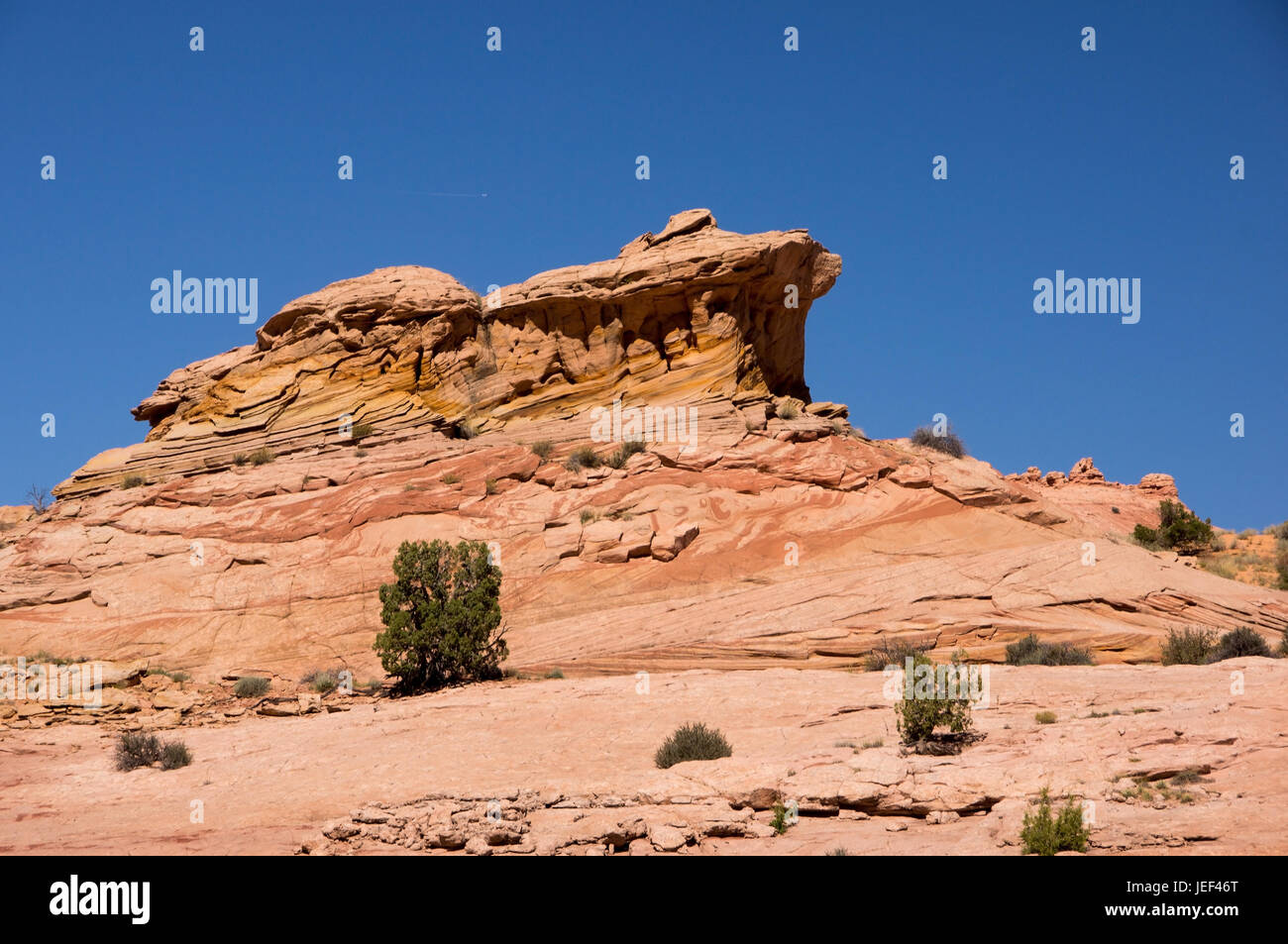 Zebra slot canyon hi-res stock photography and images - Alamy