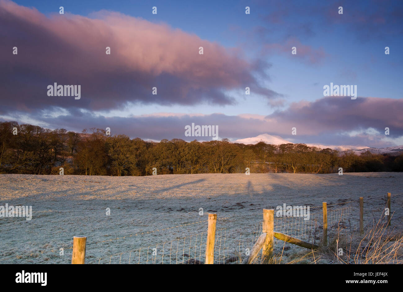 Scottische highlands, England, accepted in February., Scottische ...