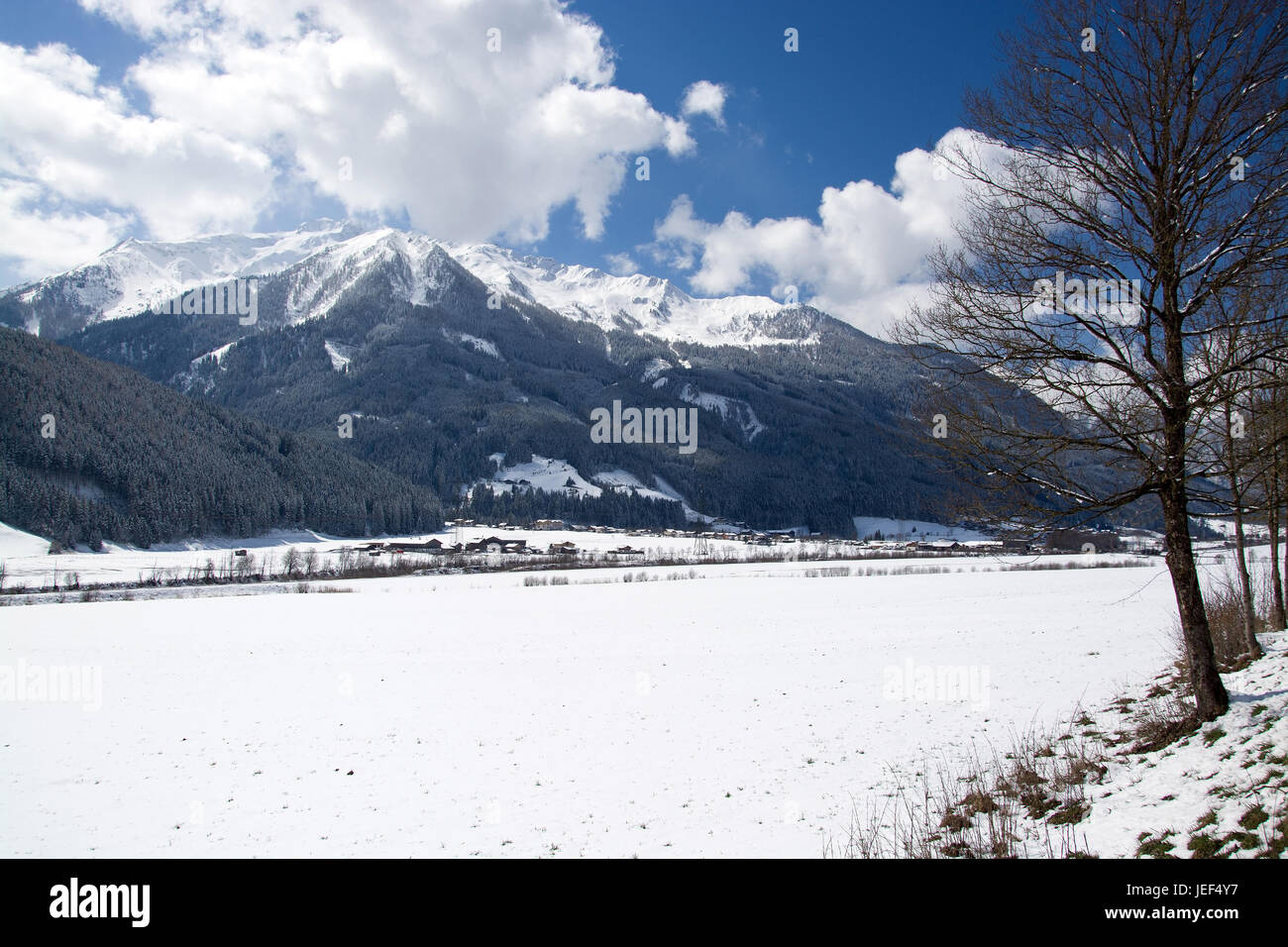 Admission of the Pinzgau with look at the Gro?venediger in Austria taken up in April, Aufnahme ...