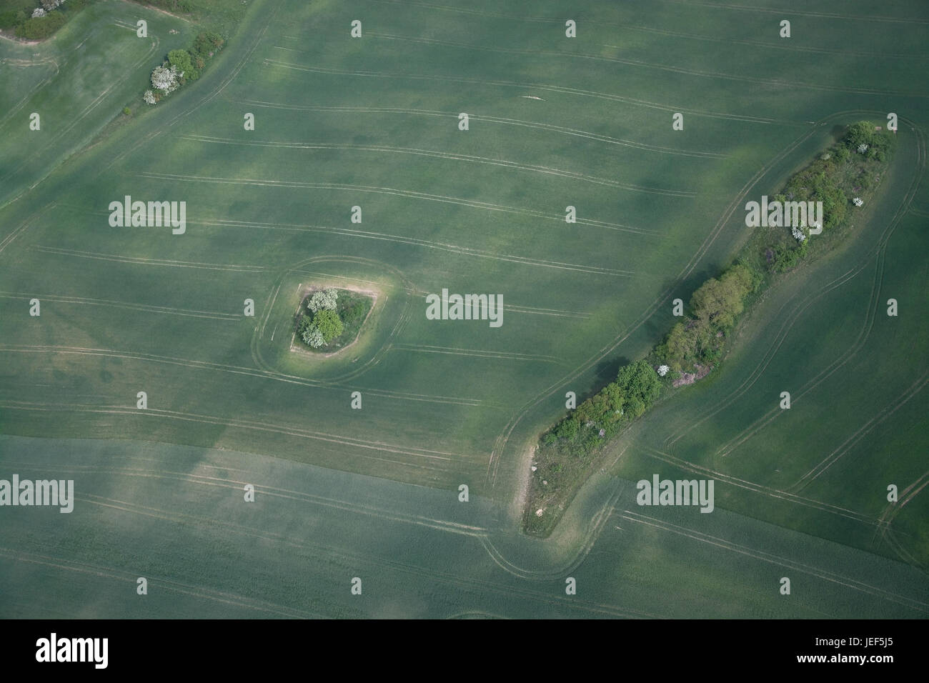 Aerial photo of fields and meadows in Brandenburg, Germany, at the ...