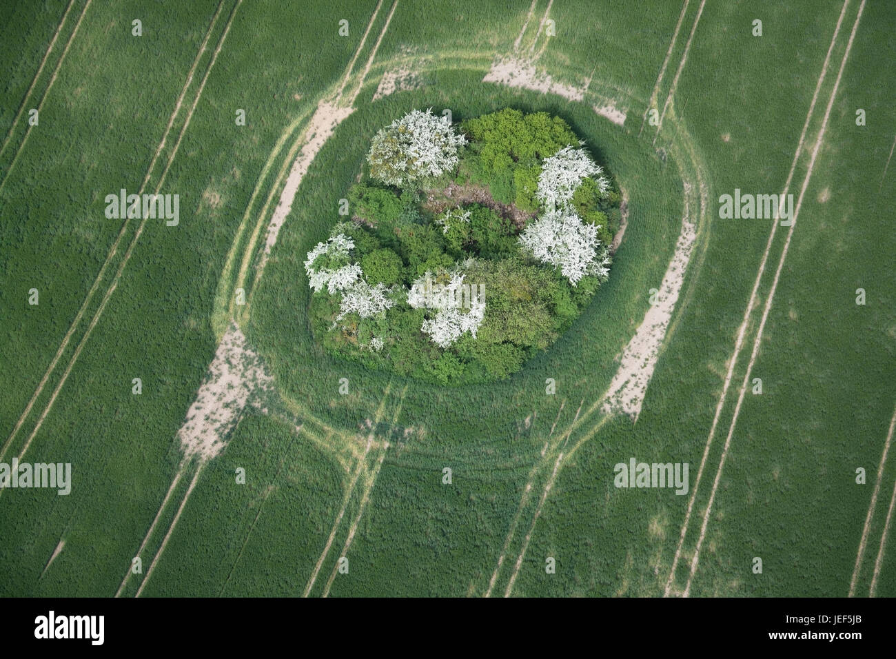 Aerial photo of fields and meadows in Brandenburg, Germany, at the ...