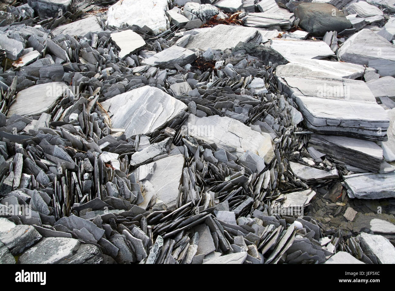 Slate records on the Norwegian coast in the Porsangerfjord, Norway ...