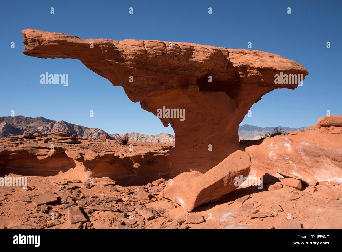 In Nevada, the USA, lies the area Little of Finland. Incredibly what ...