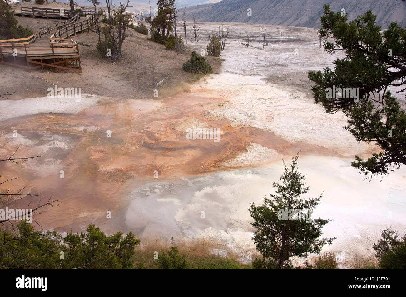 The Yellowstone-national park is a national park in the United States ...