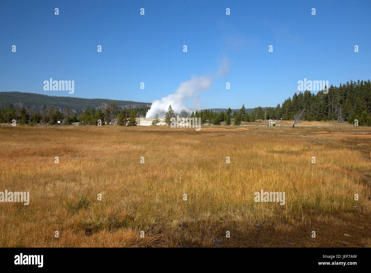 Admission in the Yellowstone national park, Utah, the USA, in October ...