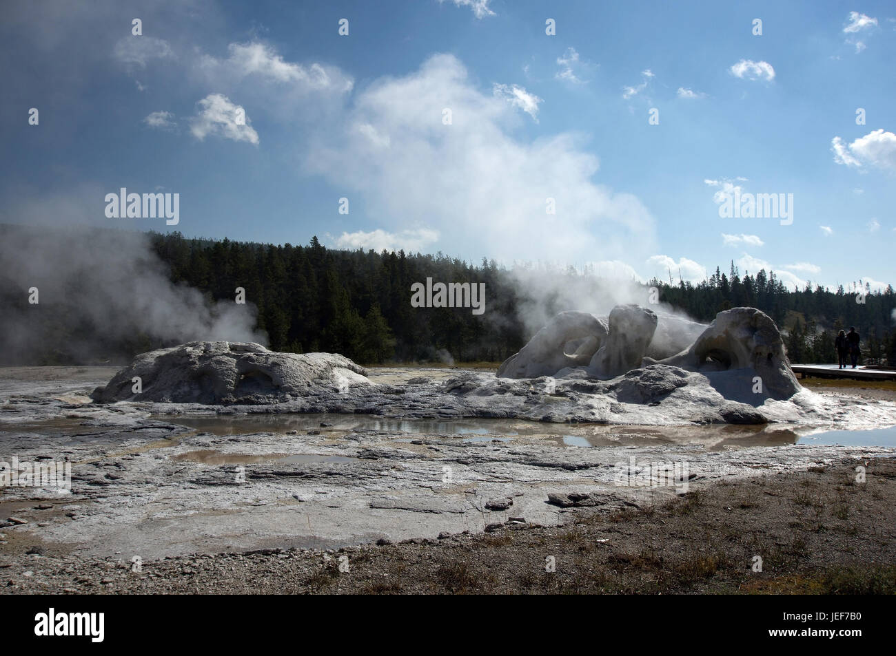 Admission in the Yellowstone national park, Utah, the USA, in October ...