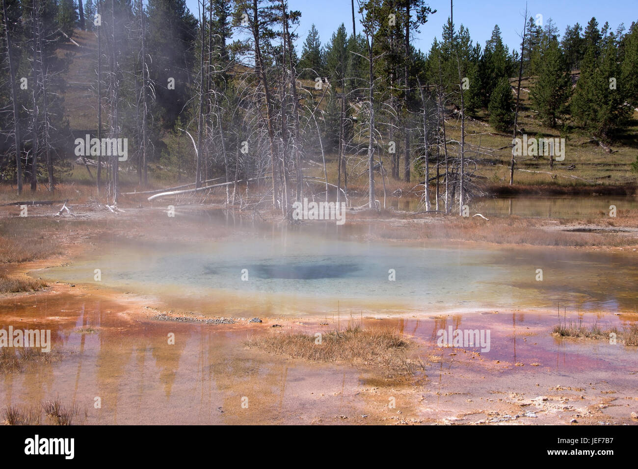 Admission in the Yellowstone national park, Utah, the USA, in October ...