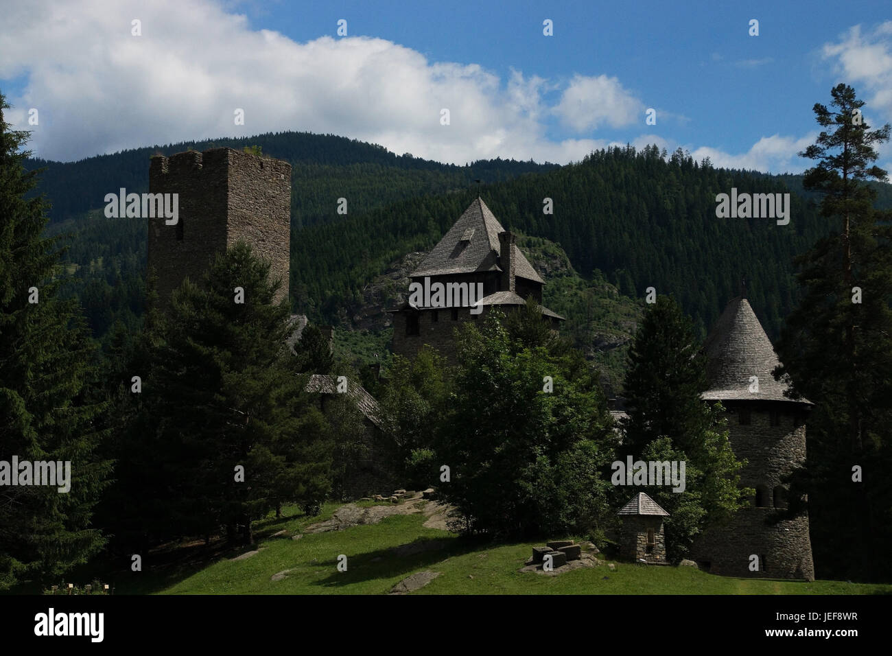 The castle dark green is the landmark of the Salzburg municipality of ...