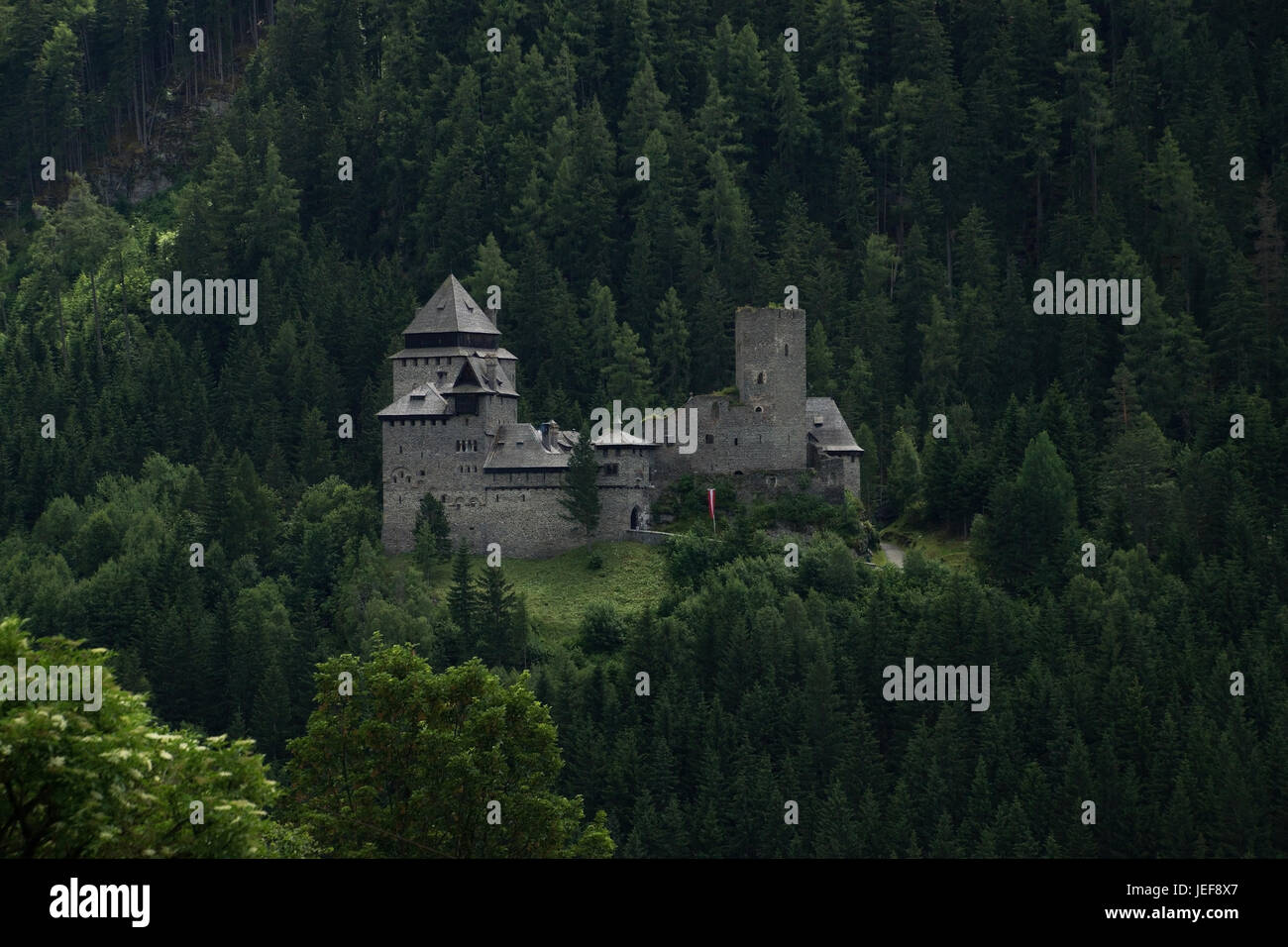 The castle dark green is the landmark of the Salzburg municipality of ...