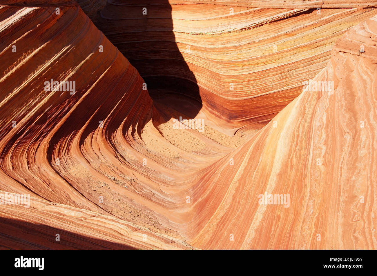 The wave in the Vermilion Cliffs Wilderness canyon, Die Welle im ...