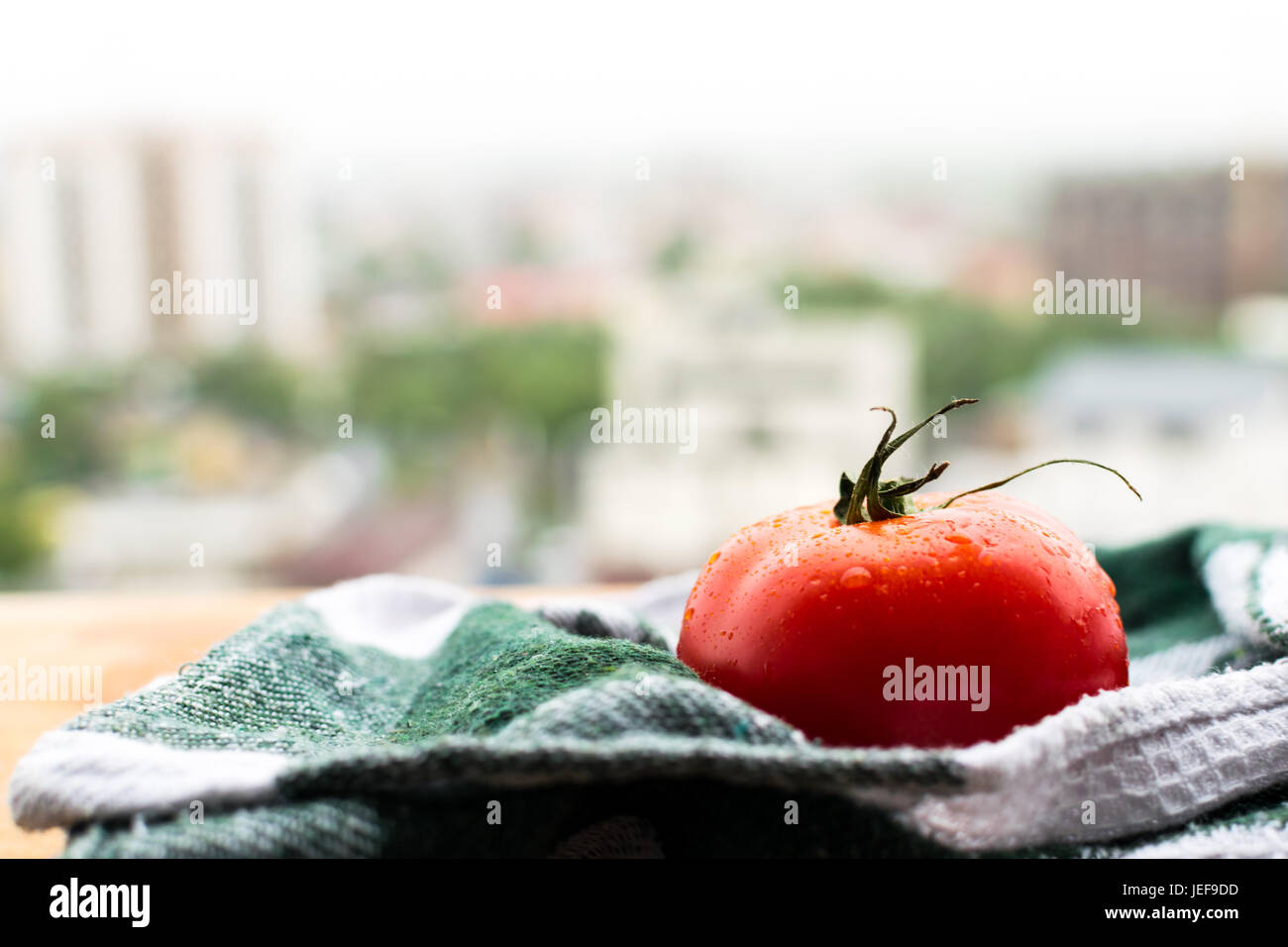 Green tomato city hi-res stock photography and images - Alamy