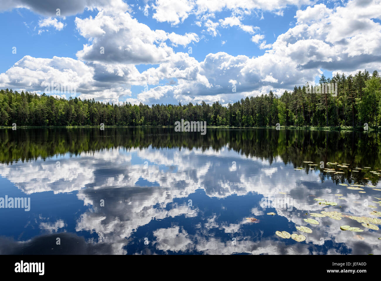 White clouds on the blue sky over forest lake with reflections Stock ...