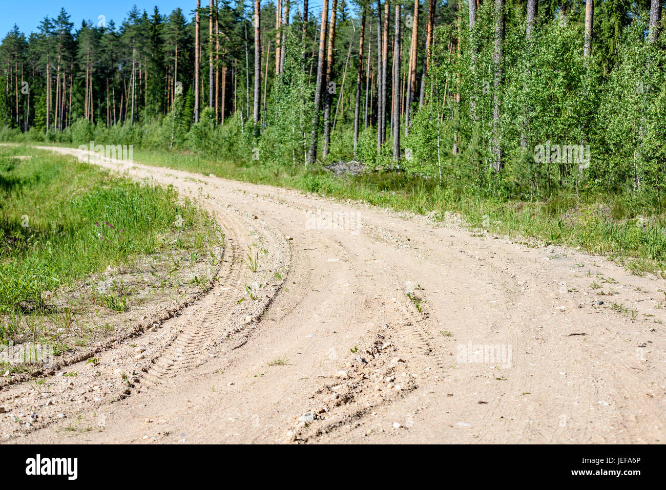 empty road with tire tracks in the countryside with forest in ...
