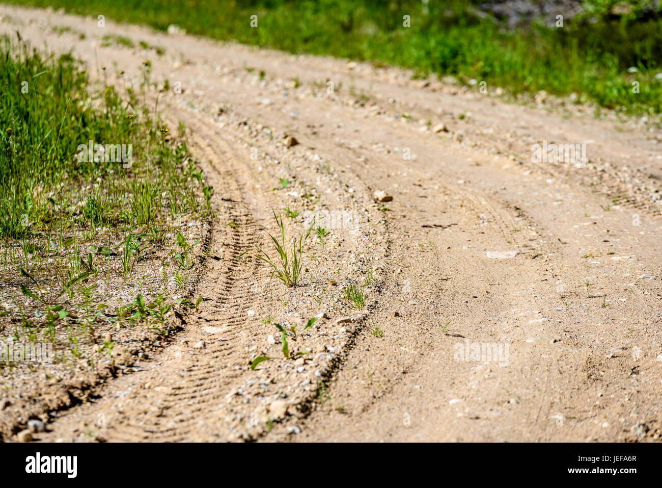 empty road with tire tracks in the countryside with forest in ...