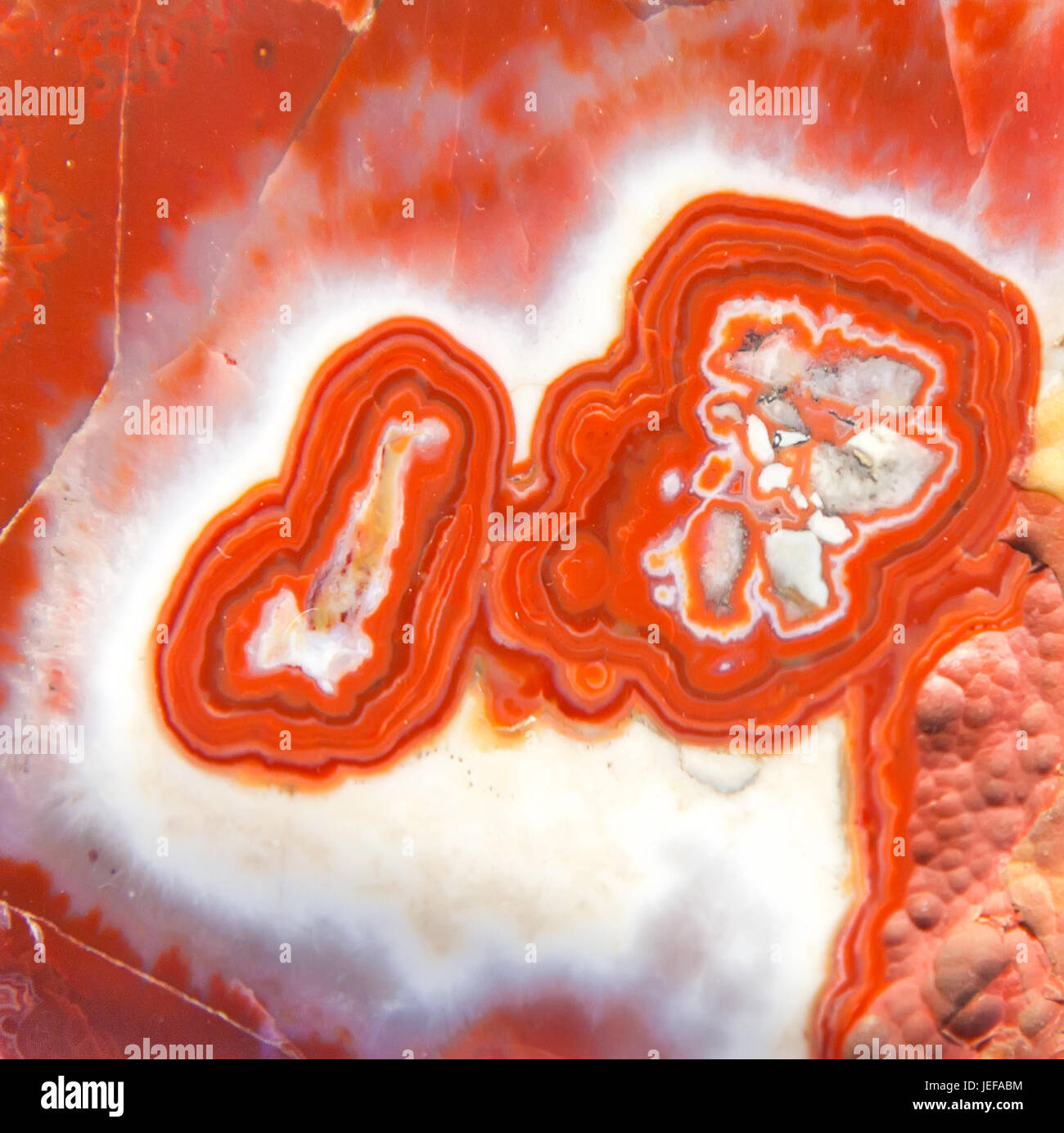 Agate cross section closeup hi-res stock photography and images - Alamy