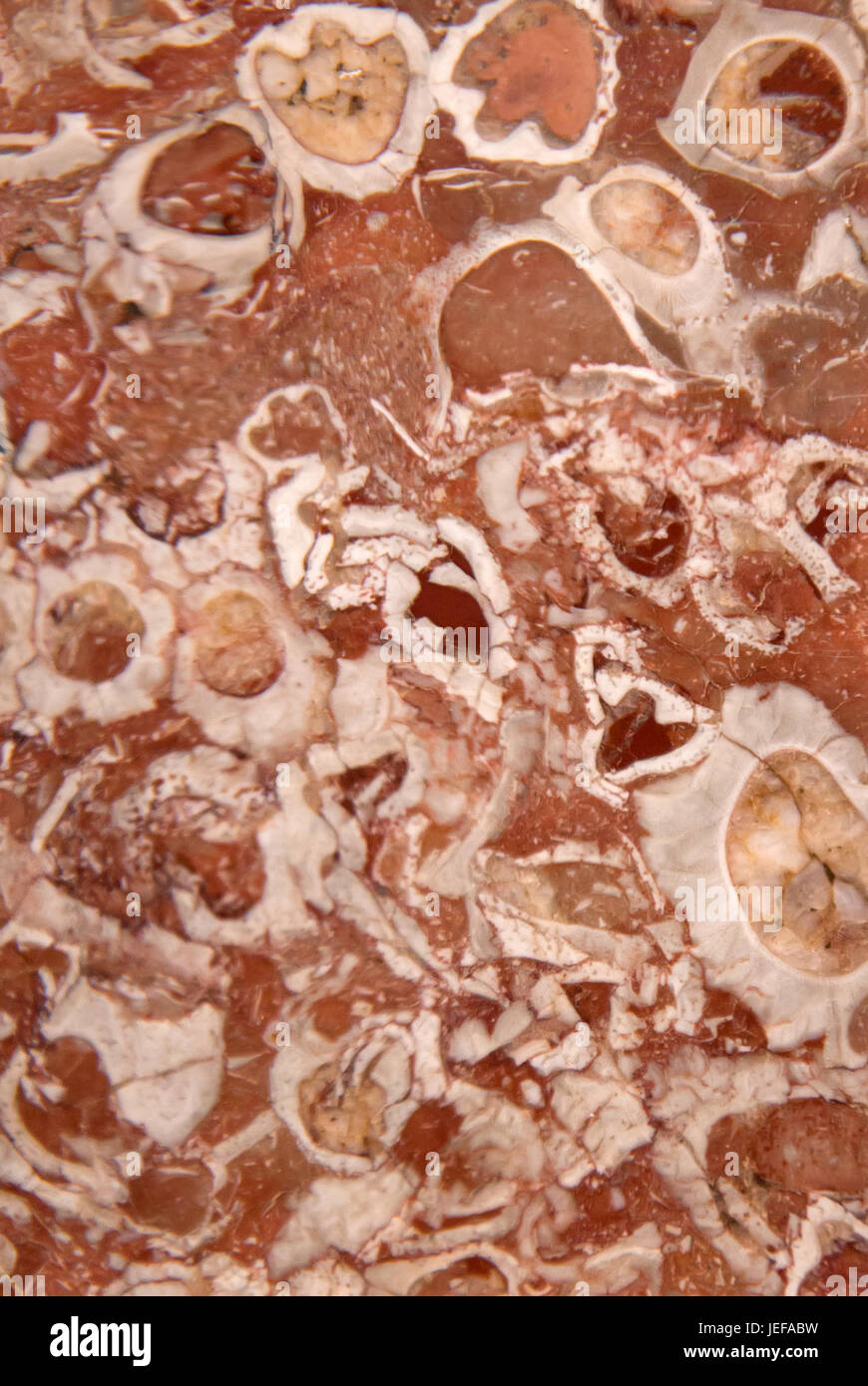 Limestone background limestone tiles hi-res stock photography and ...