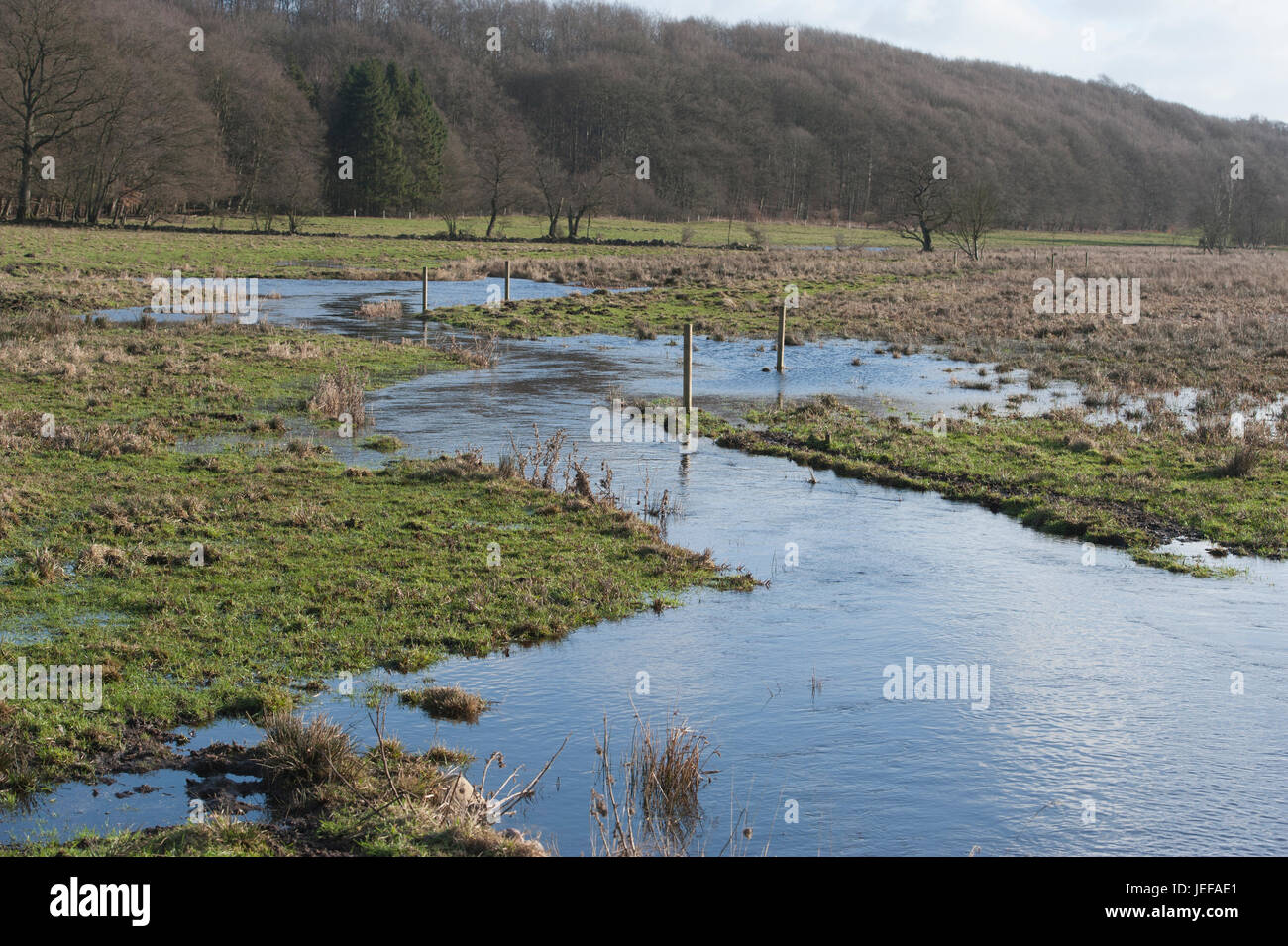 Meander is back in a former straight ditch, Fyledalen Sweden Stock ...