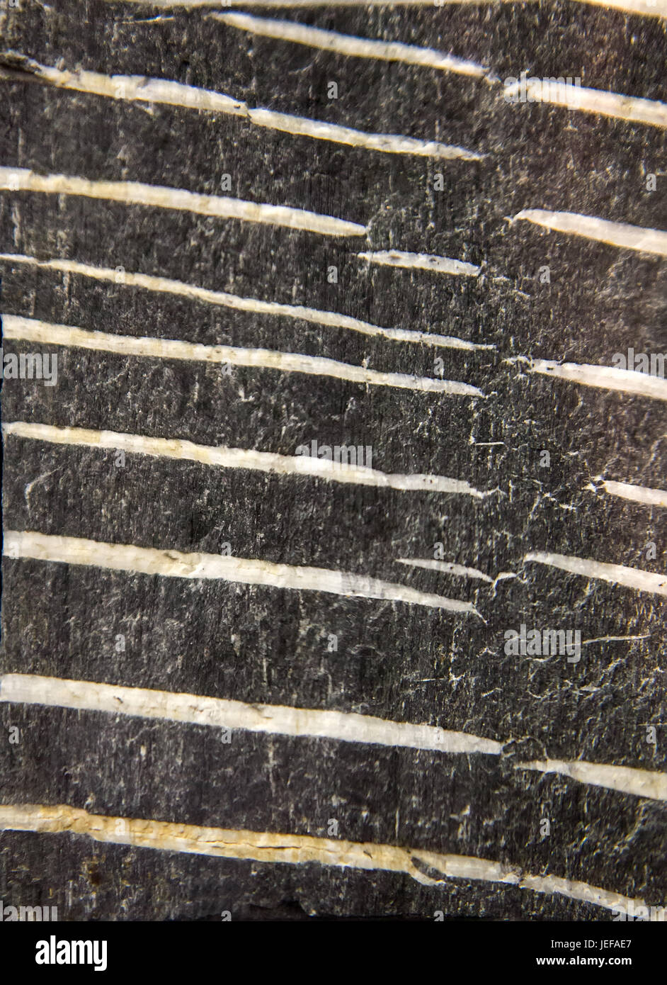 Phyllite hi-res stock photography and images - Alamy