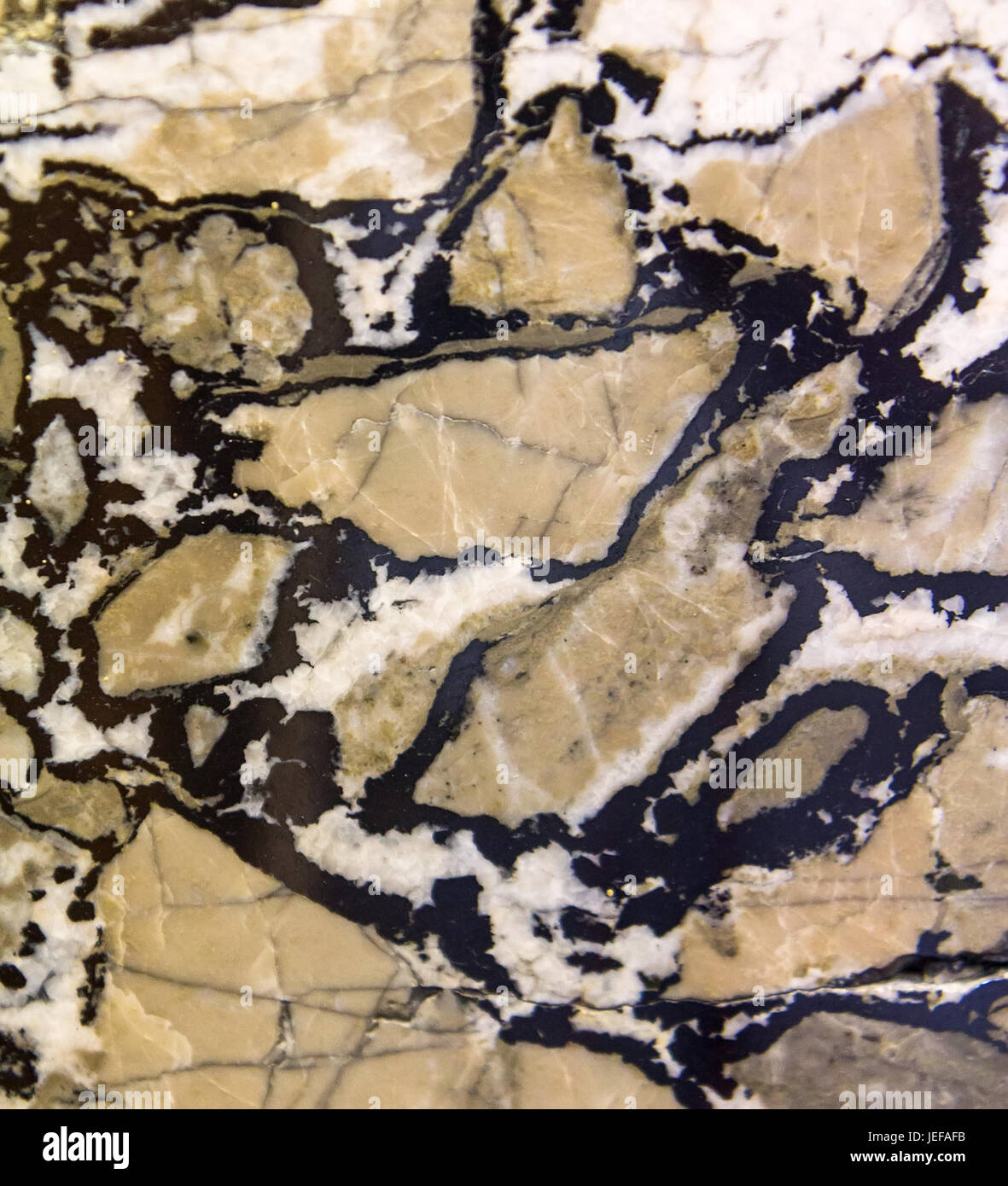 Calcareous rocks detail hi-res stock photography and images - Alamy