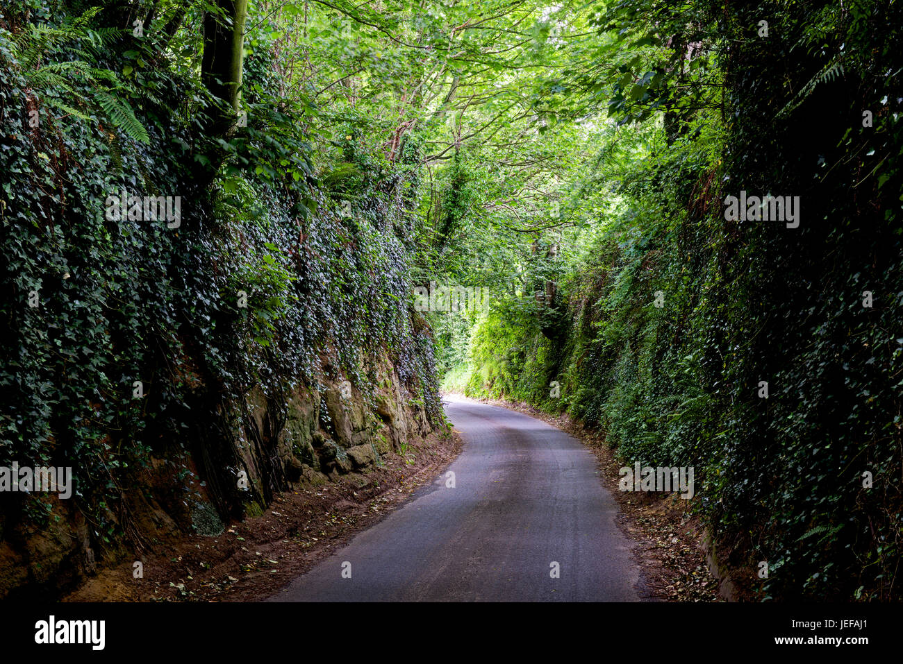 Sunken lane uk summer hi-res stock photography and images - Alamy