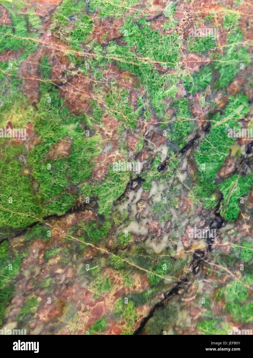 Metamorphic rock quartz detail hi-res stock photography and images - Alamy