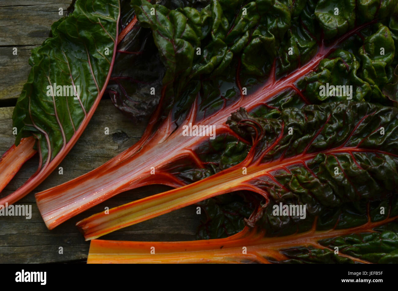 Preparing red chard hi-res stock photography and images - Alamy
