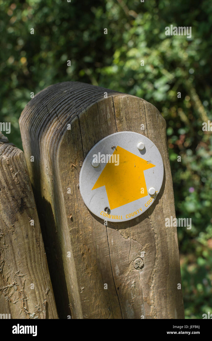 Yellow arrow marking countryside walk. Stay on the right path metaphor ...
