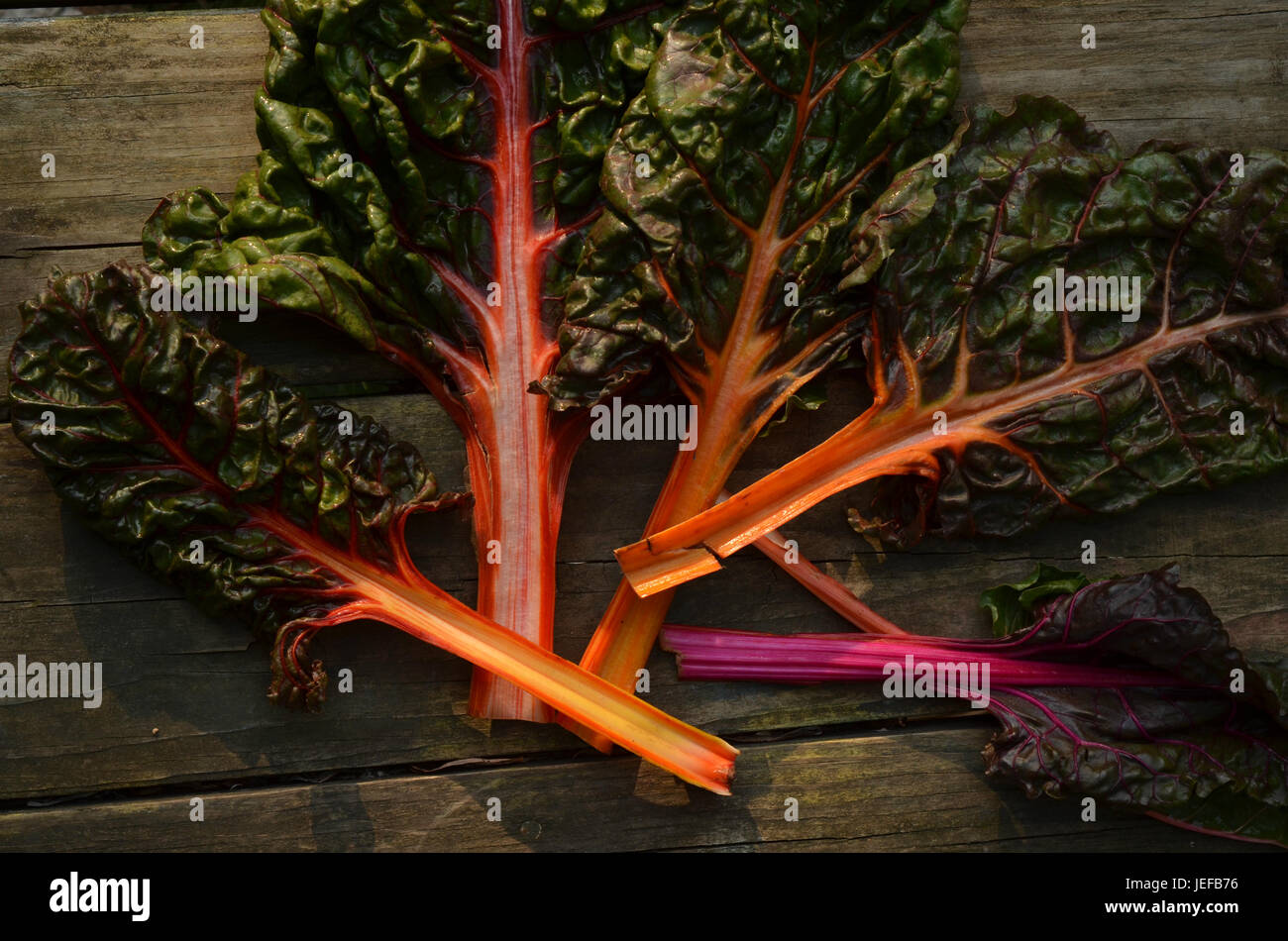 Preparing red chard hi-res stock photography and images - Alamy