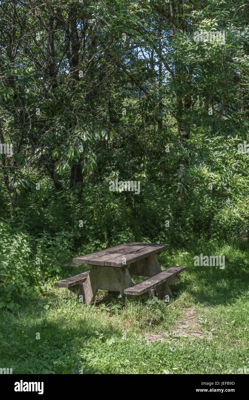 Woodland picnic table available for public use - seen at Lostwithiel ...