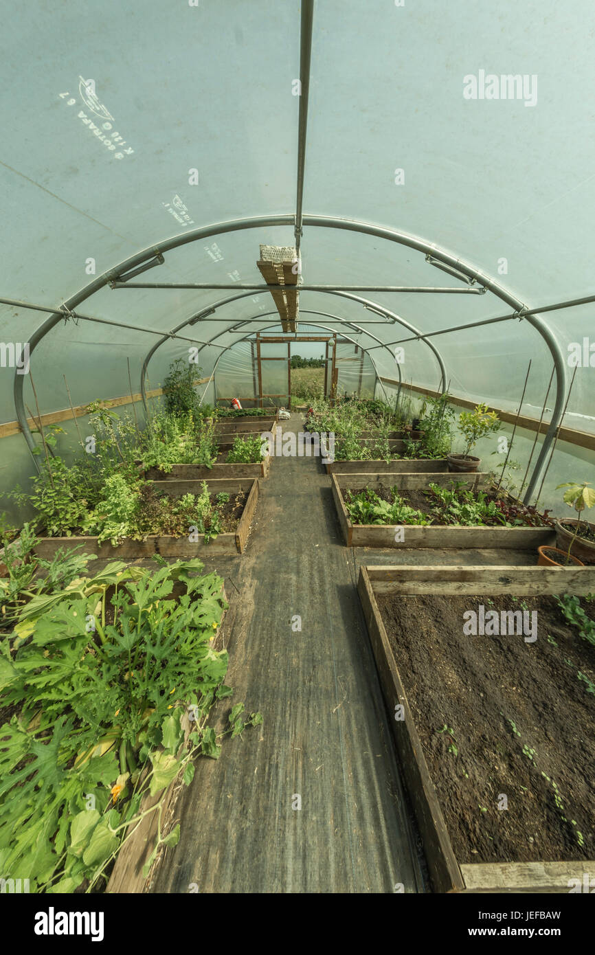 Inside poly tunnel hi-res stock photography and images - Alamy