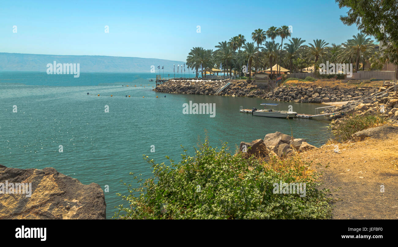 Scenic inlet with palm trees along the Sea of Galilee a.k.a. the Lake ...