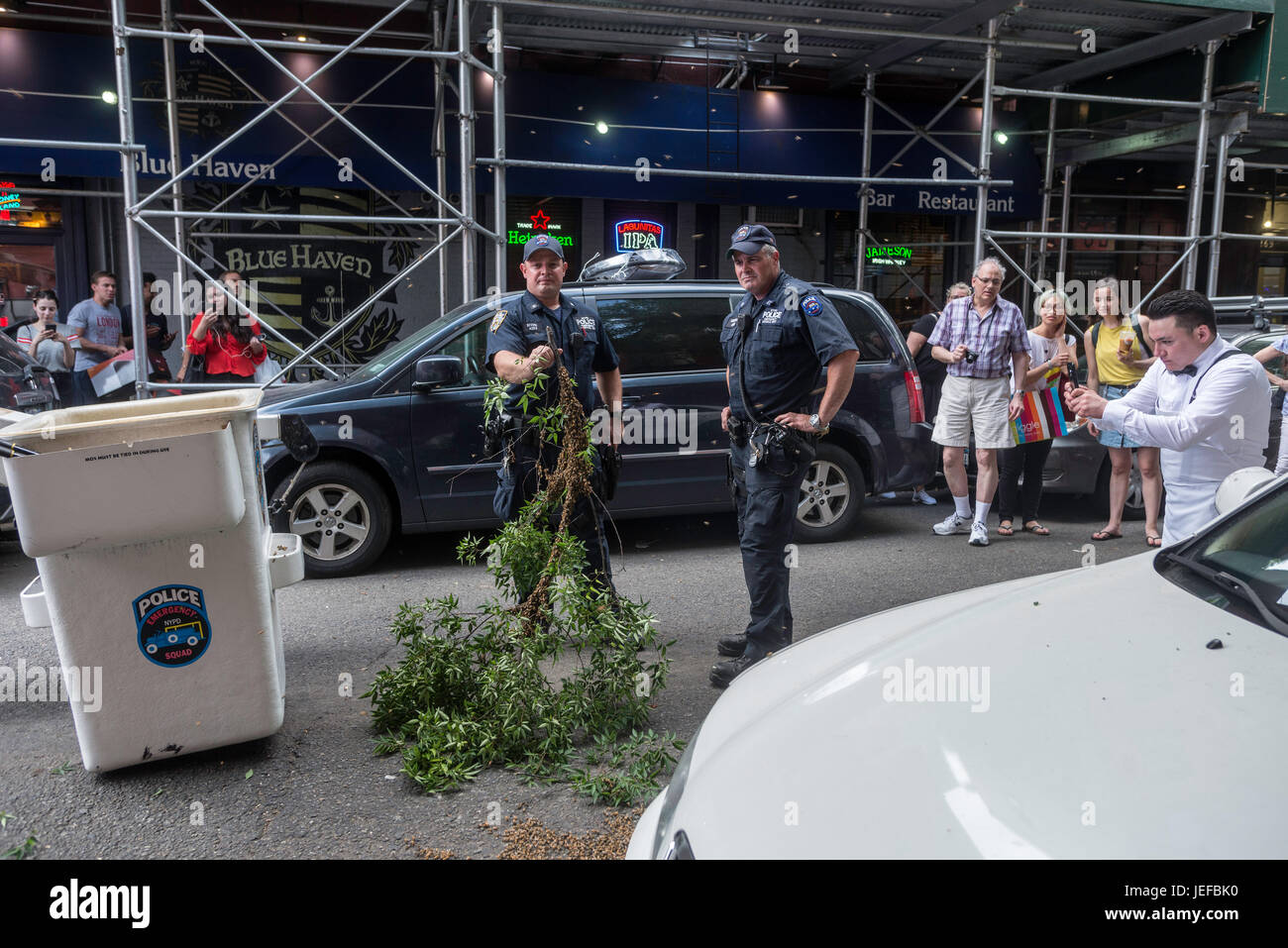 New York, NY 21 June 2017 - A Beekeeper and member of the NYPD ...