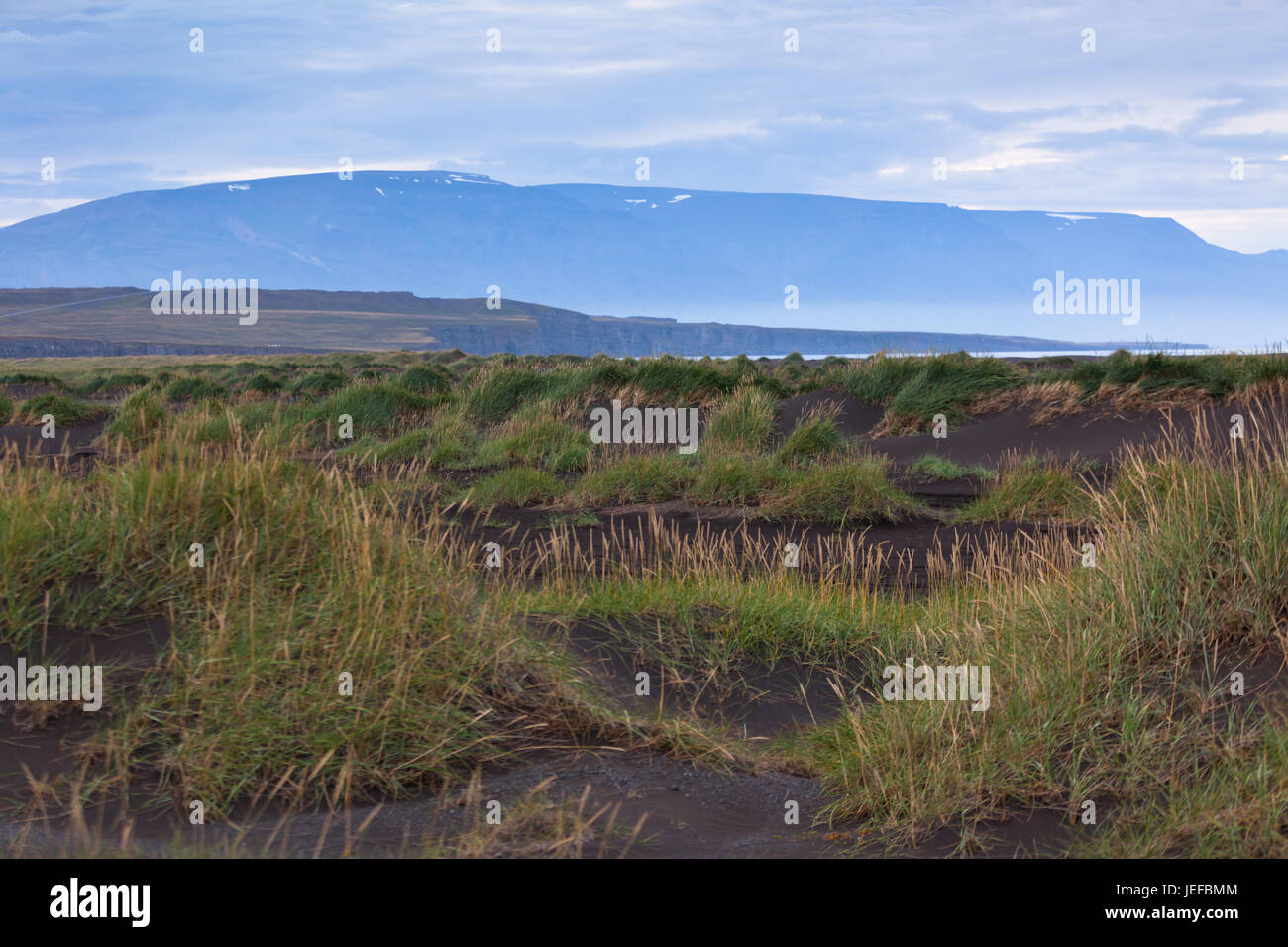 Iceland landscape: Black Volcanic Ash Dunes Field Stock Photo - Alamy