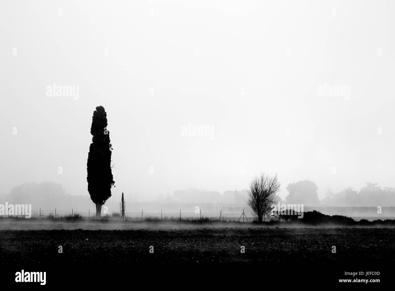 Mist mystery Black and White Stock Photos & Images - Alamy