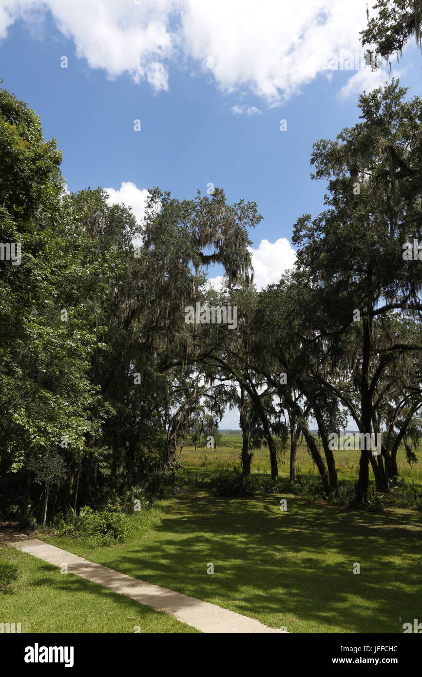Paynes Prairie Preserve State Park, FL Stock Photo - Alamy