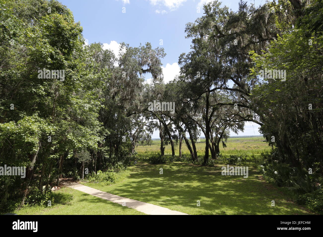 Paynes Prairie Preserve State Park, FL Stock Photo - Alamy