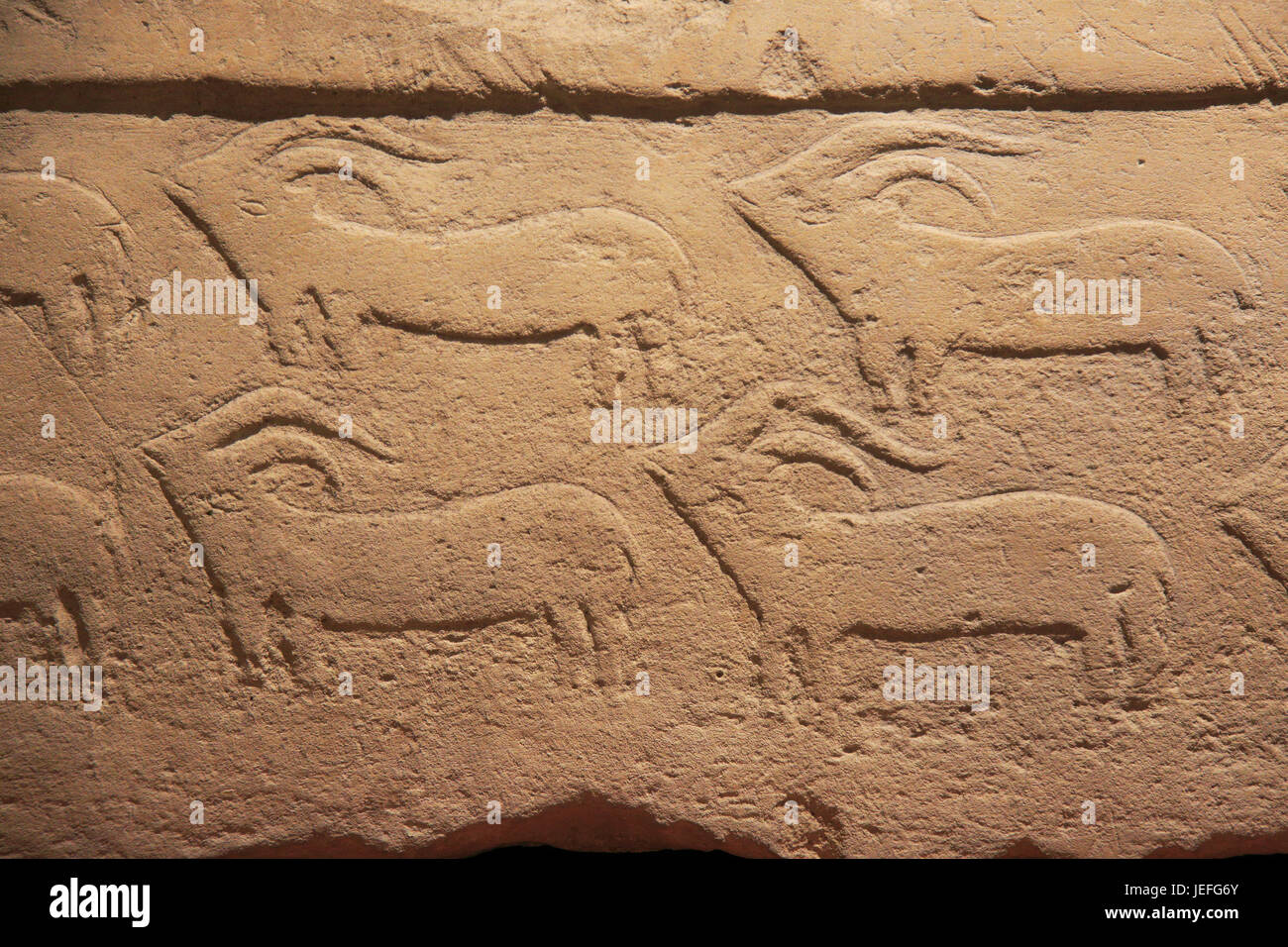 Prehistoric goat hi-res stock photography and images - Alamy