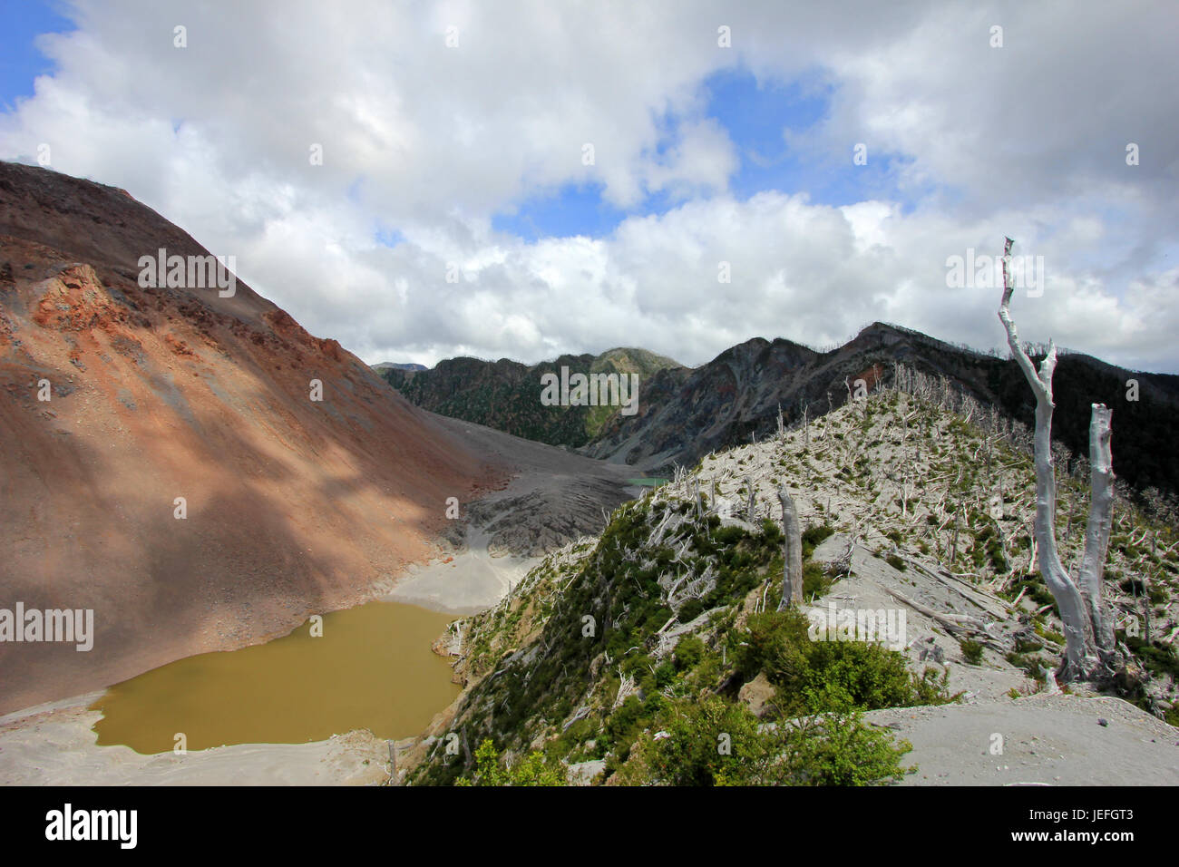 Chaiten volcano, along Carretera Austral, south of Chile Stock Photo ...
