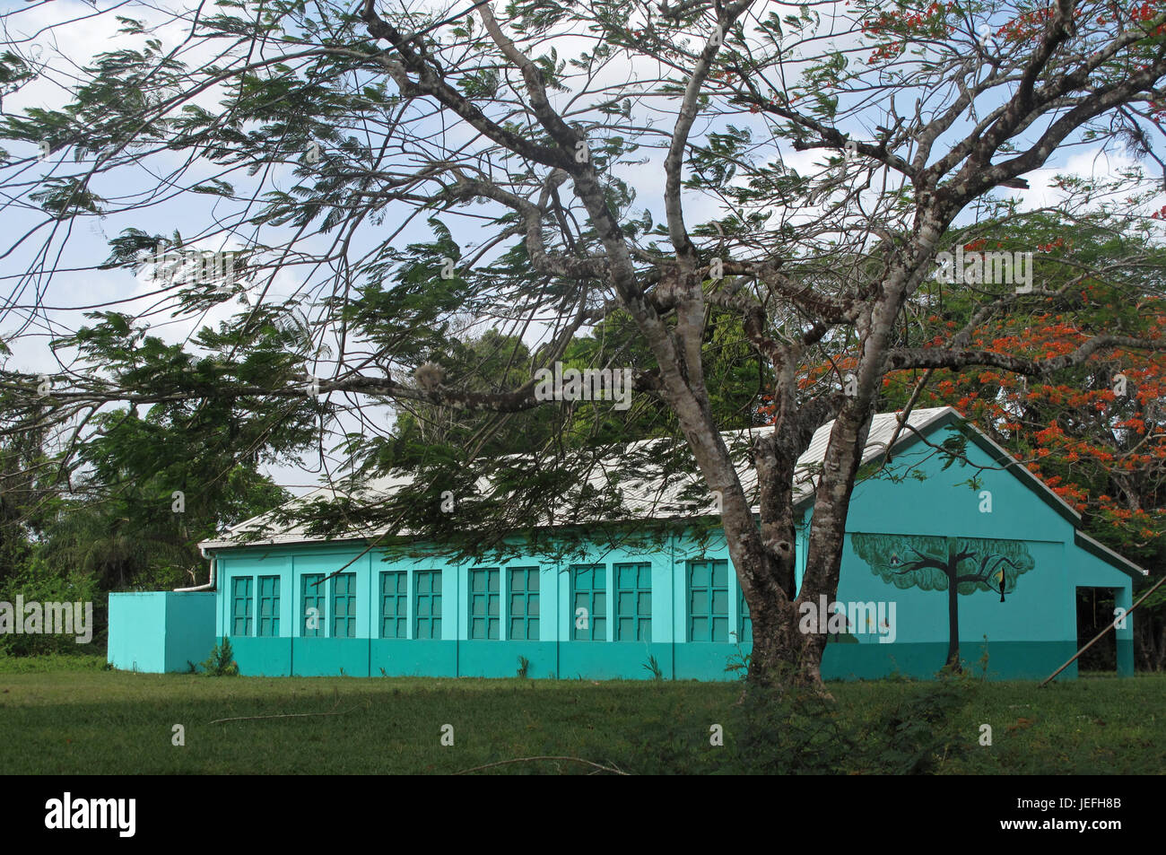 Traditional typical carribean house in Belize Stock Photo - Alamy