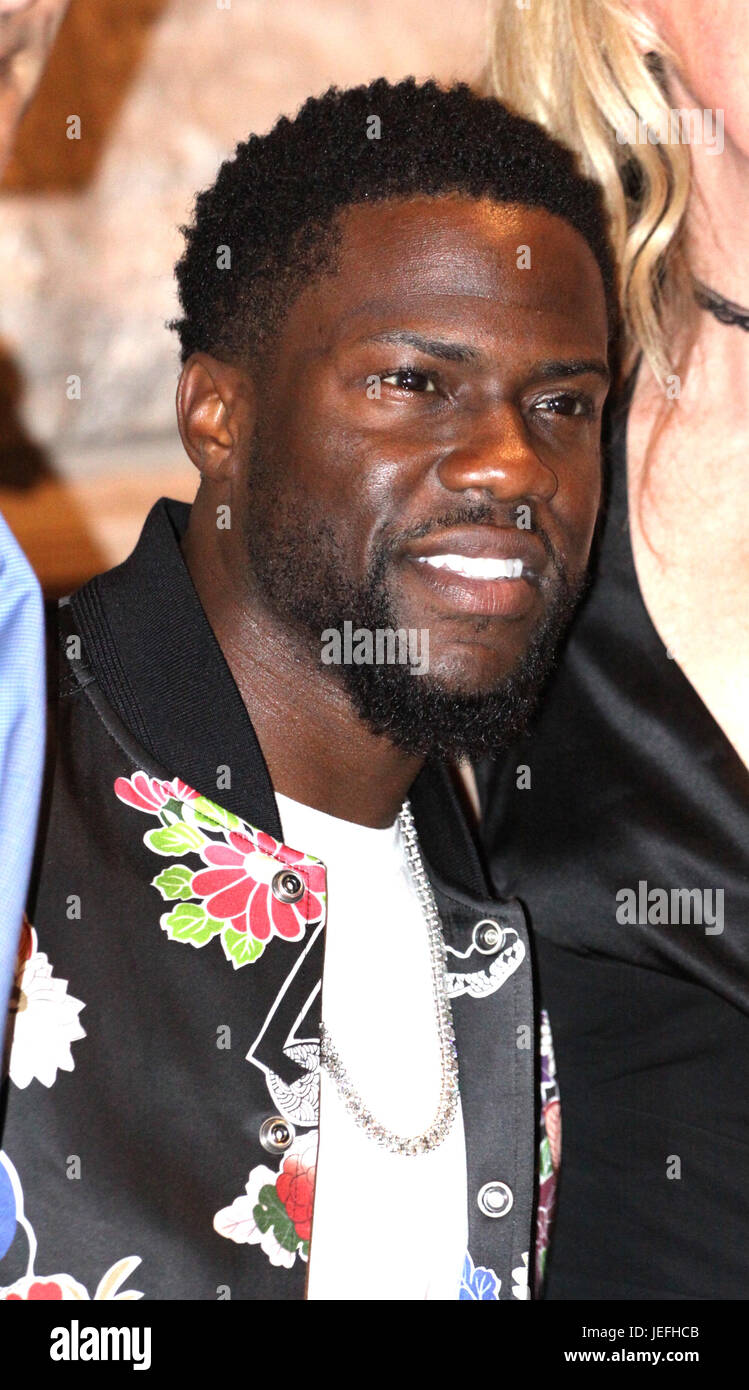 Actor Kevin Hart honored at the Arts + Business Council of Greater ...
