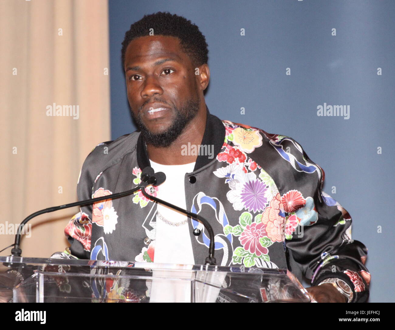 Actor Kevin Hart honored at the Arts + Business Council of Greater ...