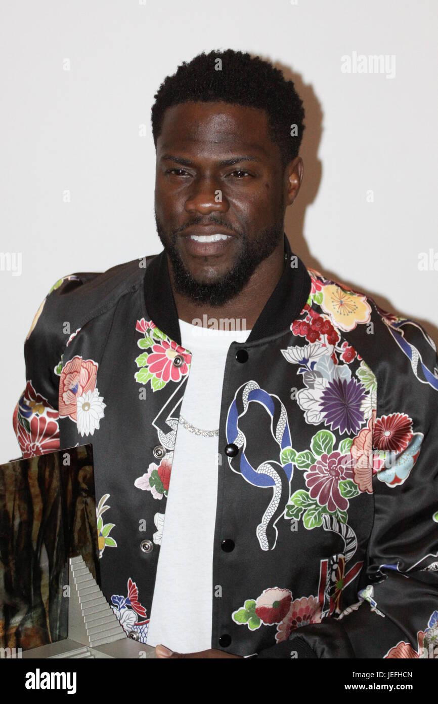 Actor Kevin Hart honored at the Arts + Business Council of Greater ...