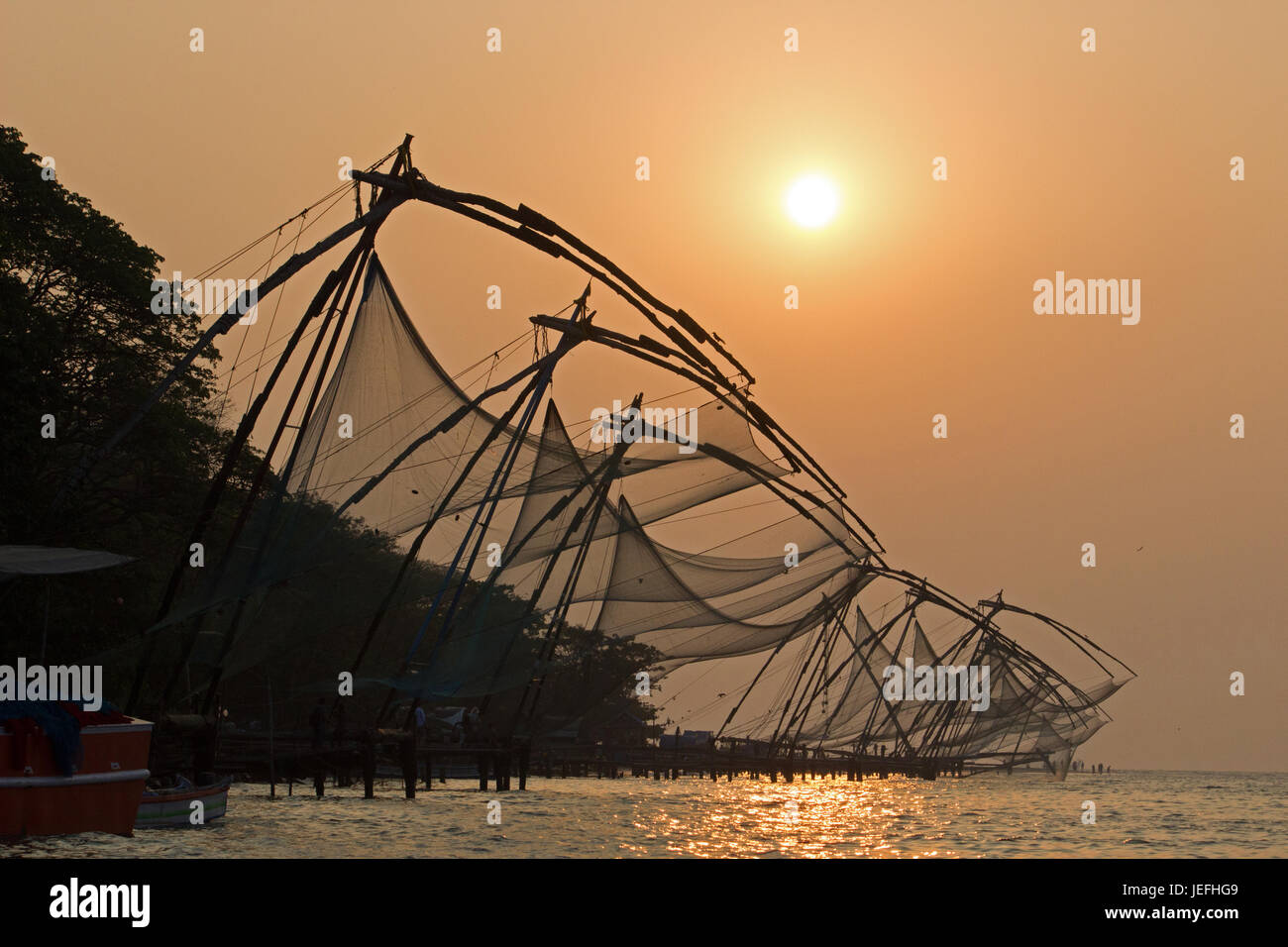 Interconnected ecosystem hi-res stock photography and images - Alamy