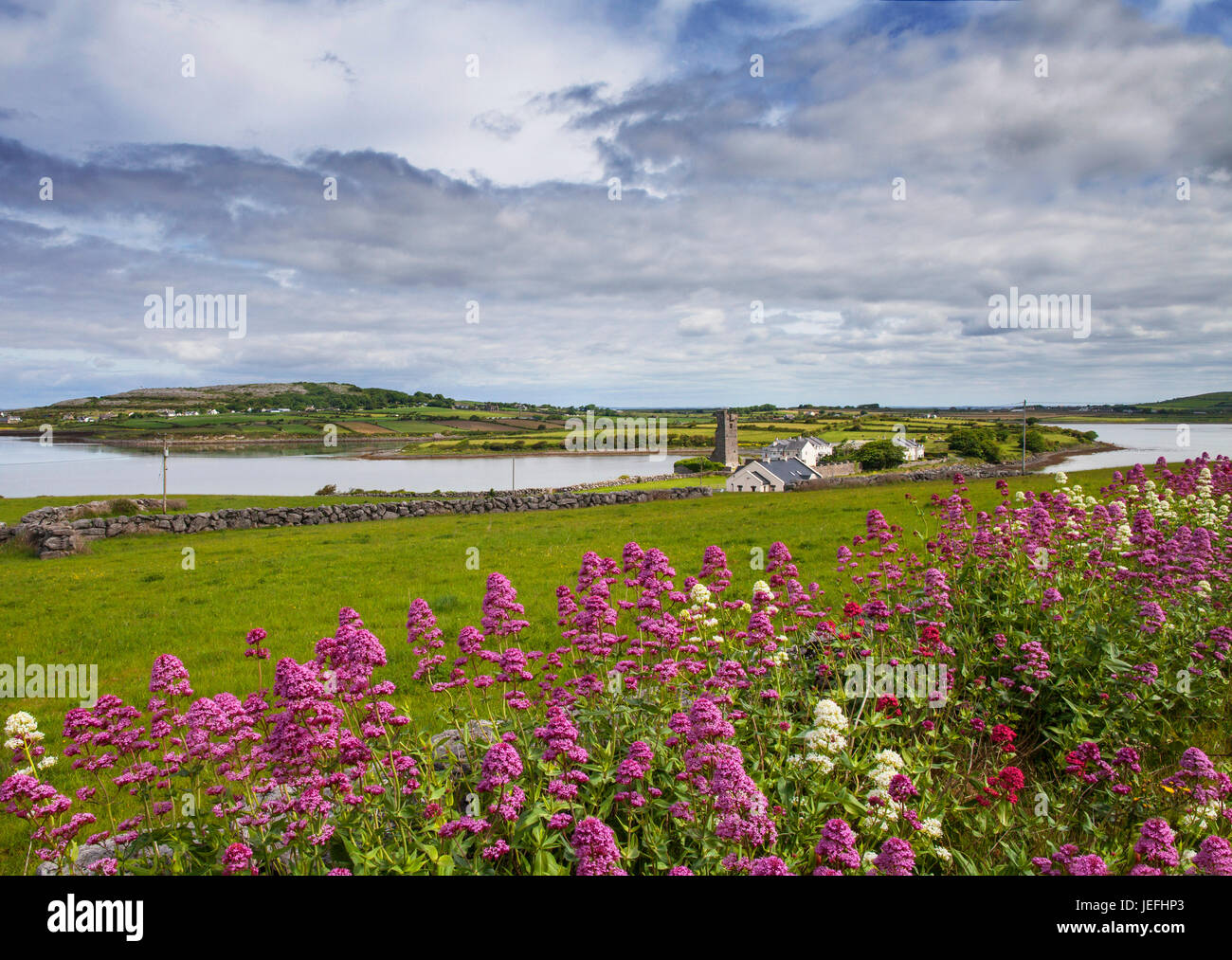 Muckinish Castle stands on a narrow part of an isthmus jutting into ...