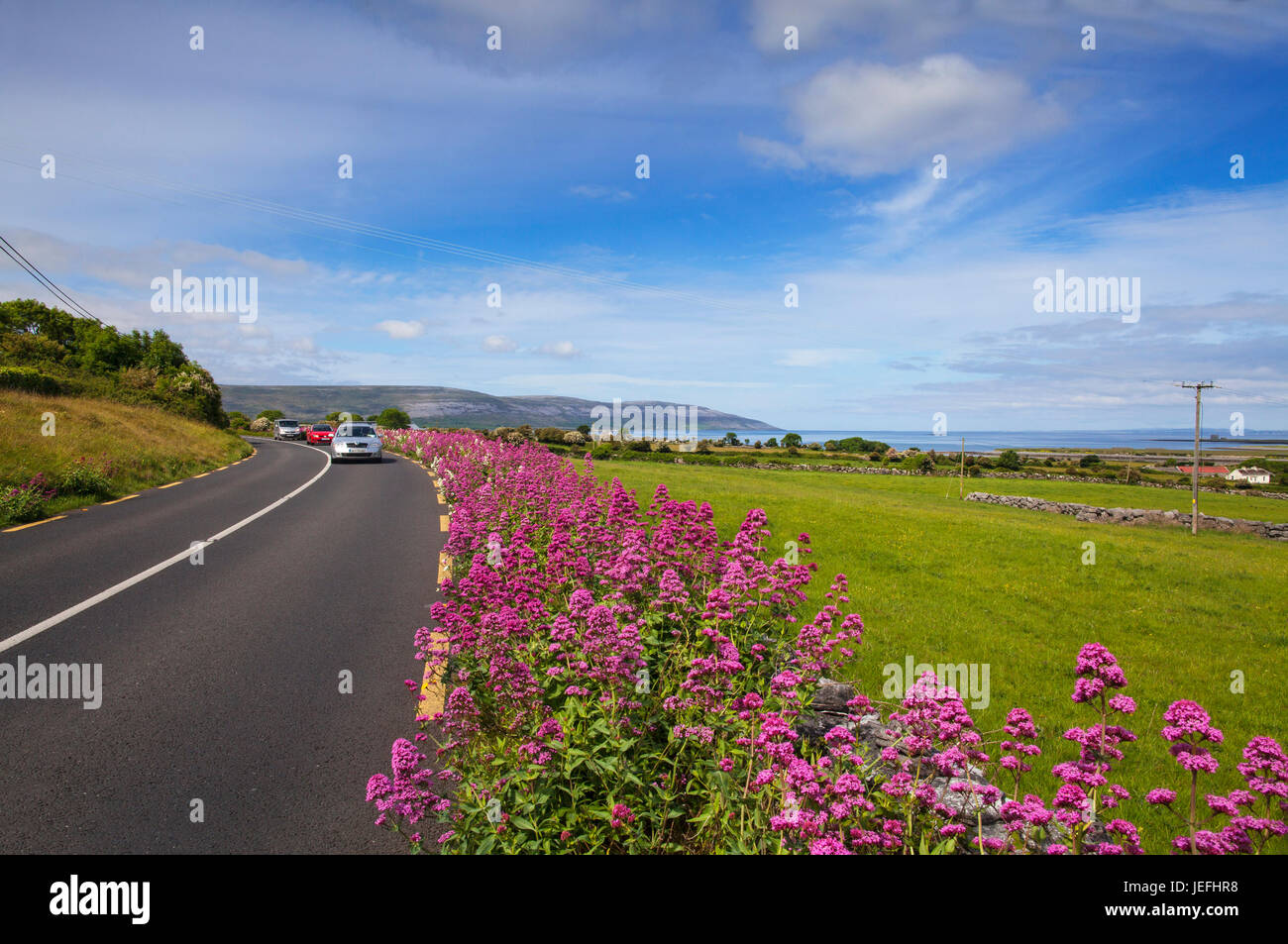 Cars on the N67 near Muckinish Castle on the coast between Kinvarra and ...