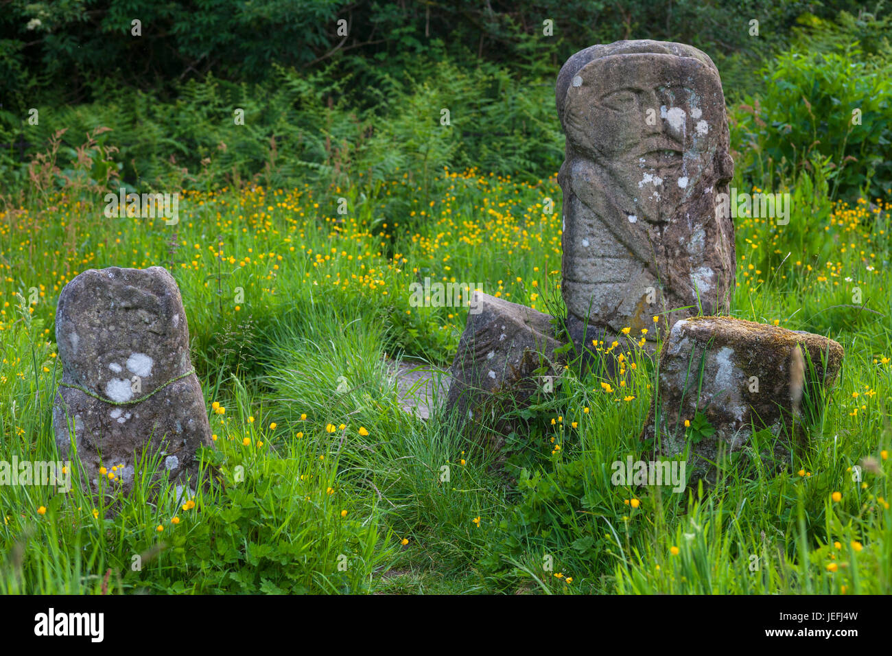 The rear of the Boa Island bilateral figure, regarded as one of the ...