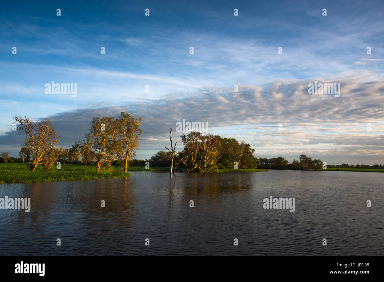 Flooded wetlands during the wet season, Kakadu National park, Northern territory, Australia ...