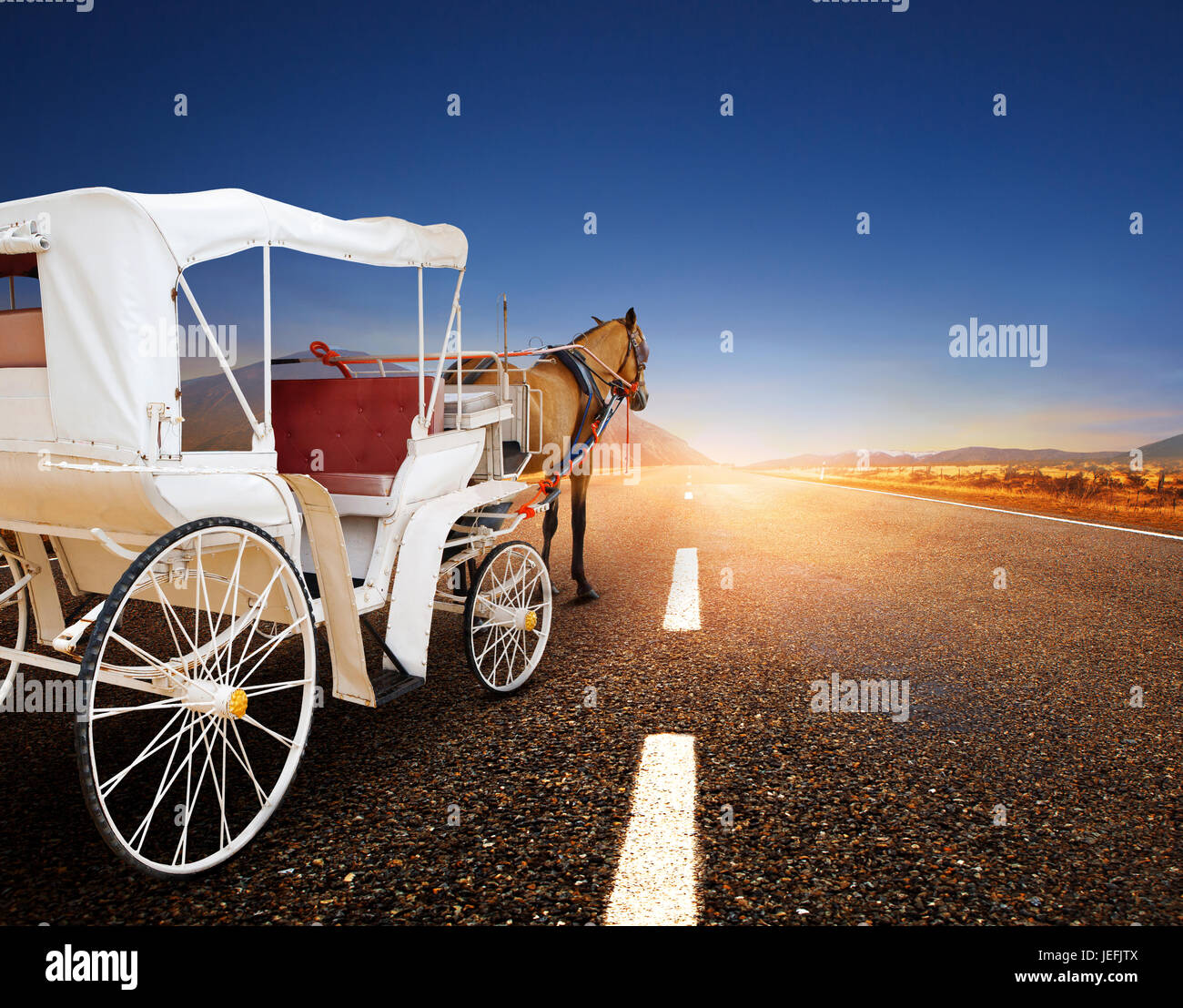 horse and classic fairy tale carriage on asphalt road perspective to ...