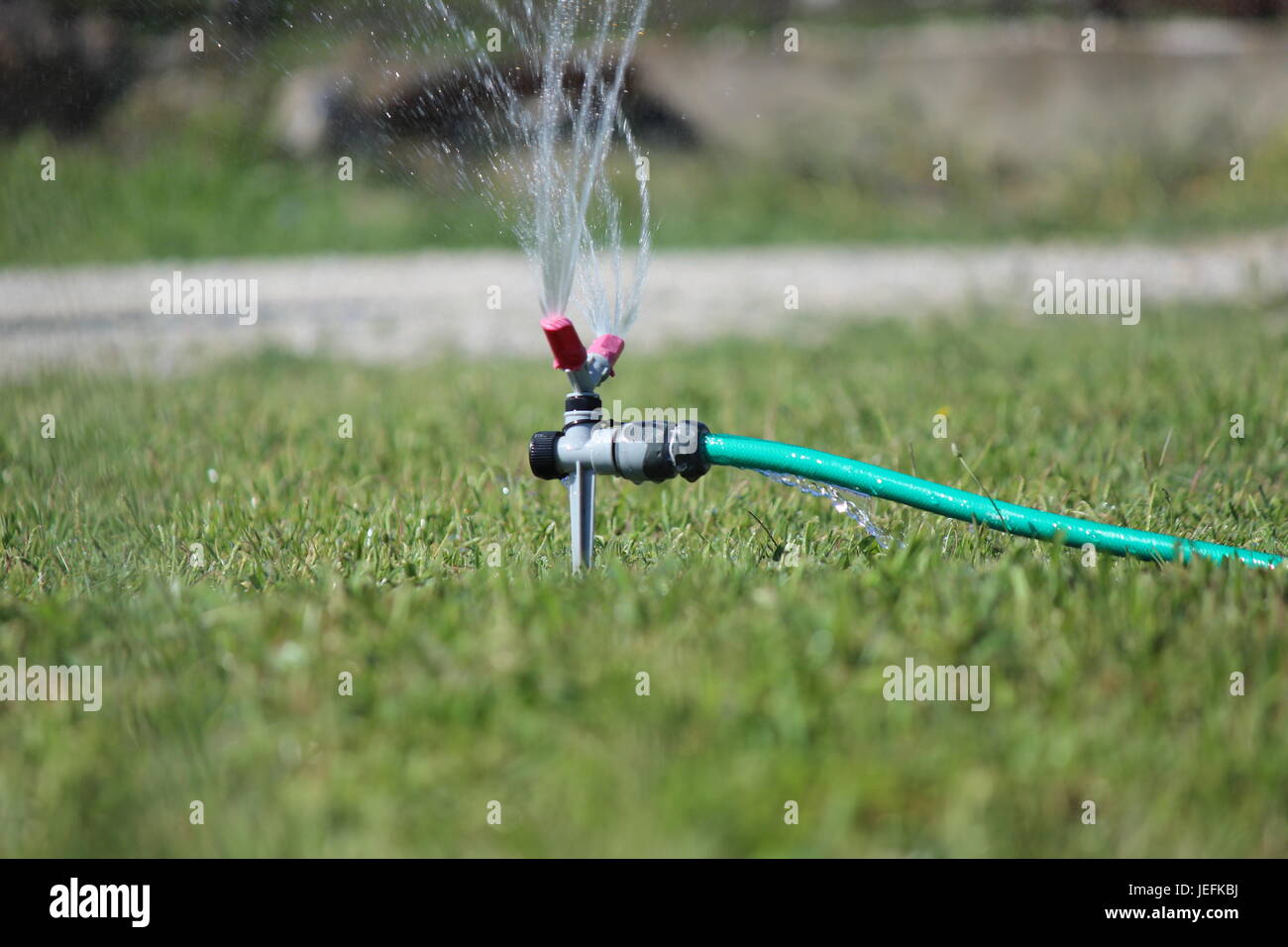 Sprinkler spaying water Stock Photo - Alamy