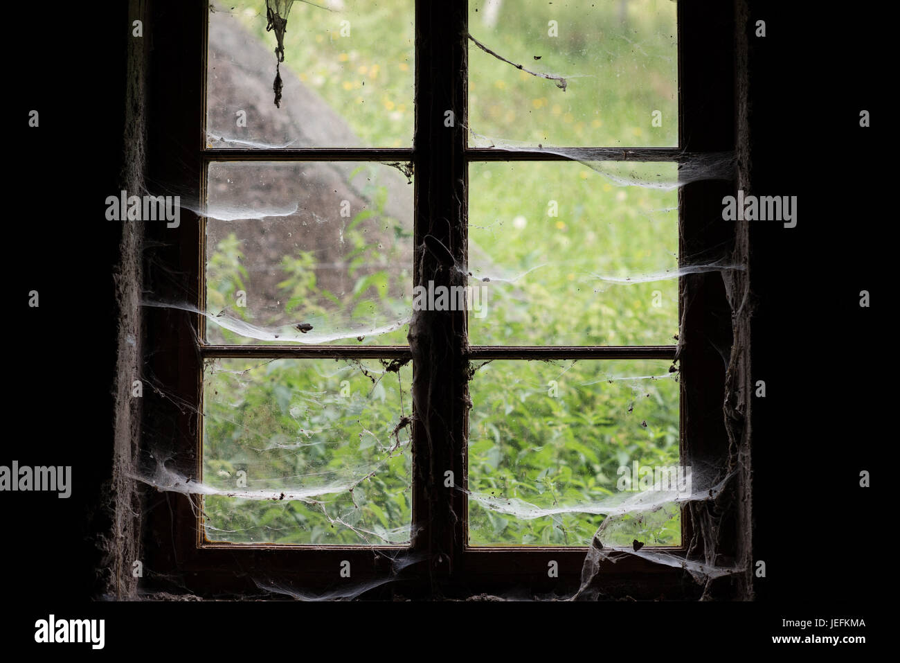 spin webs window Stock Photo - Alamy